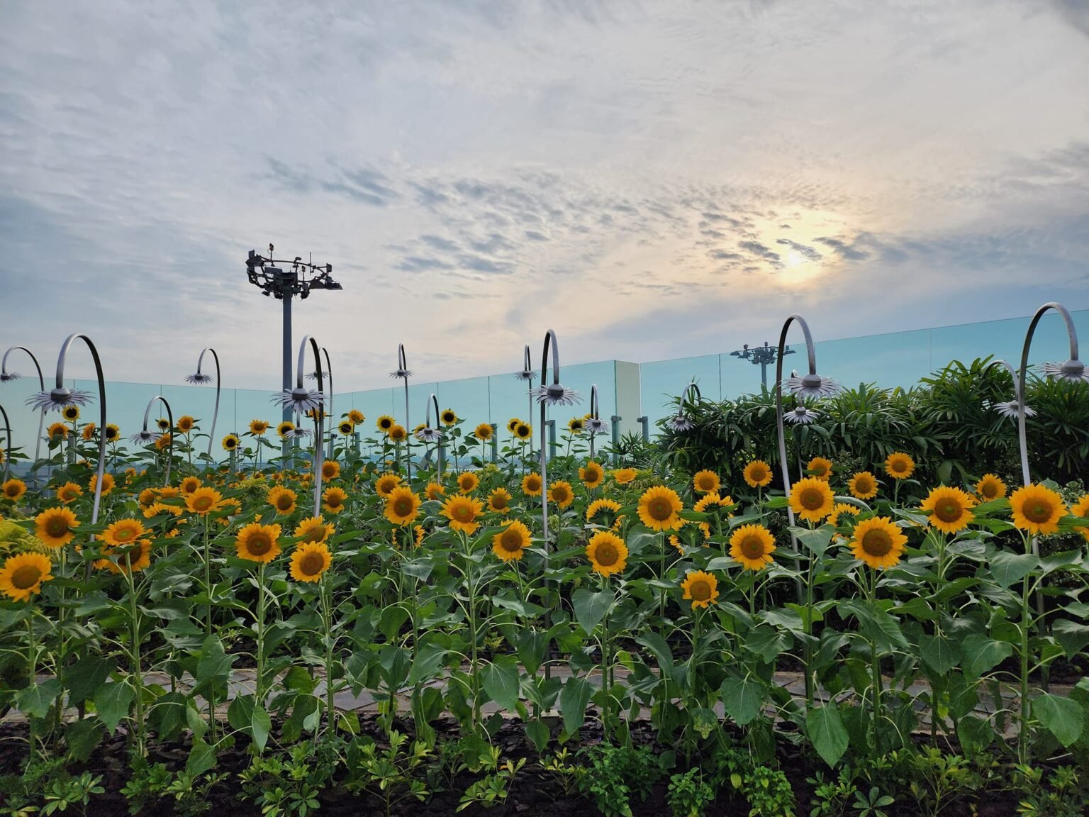 Changi re-opens southern wing of newly revamped T2 – Airport World